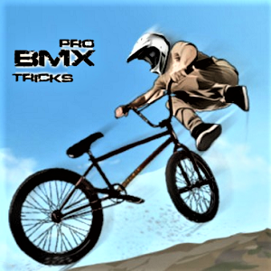 Pro Bmx Tricks - Play Pro Bmx Tricks at UGameZone.com